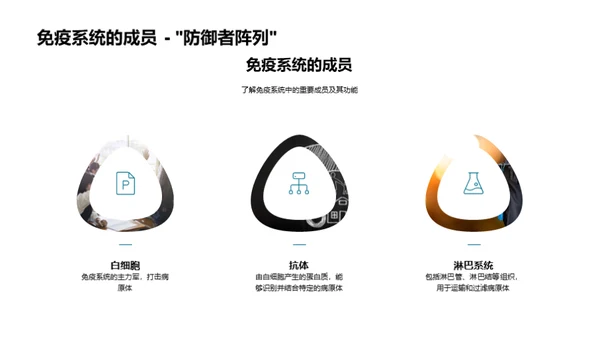 探秘人体免疫系统 Ppt模板下载